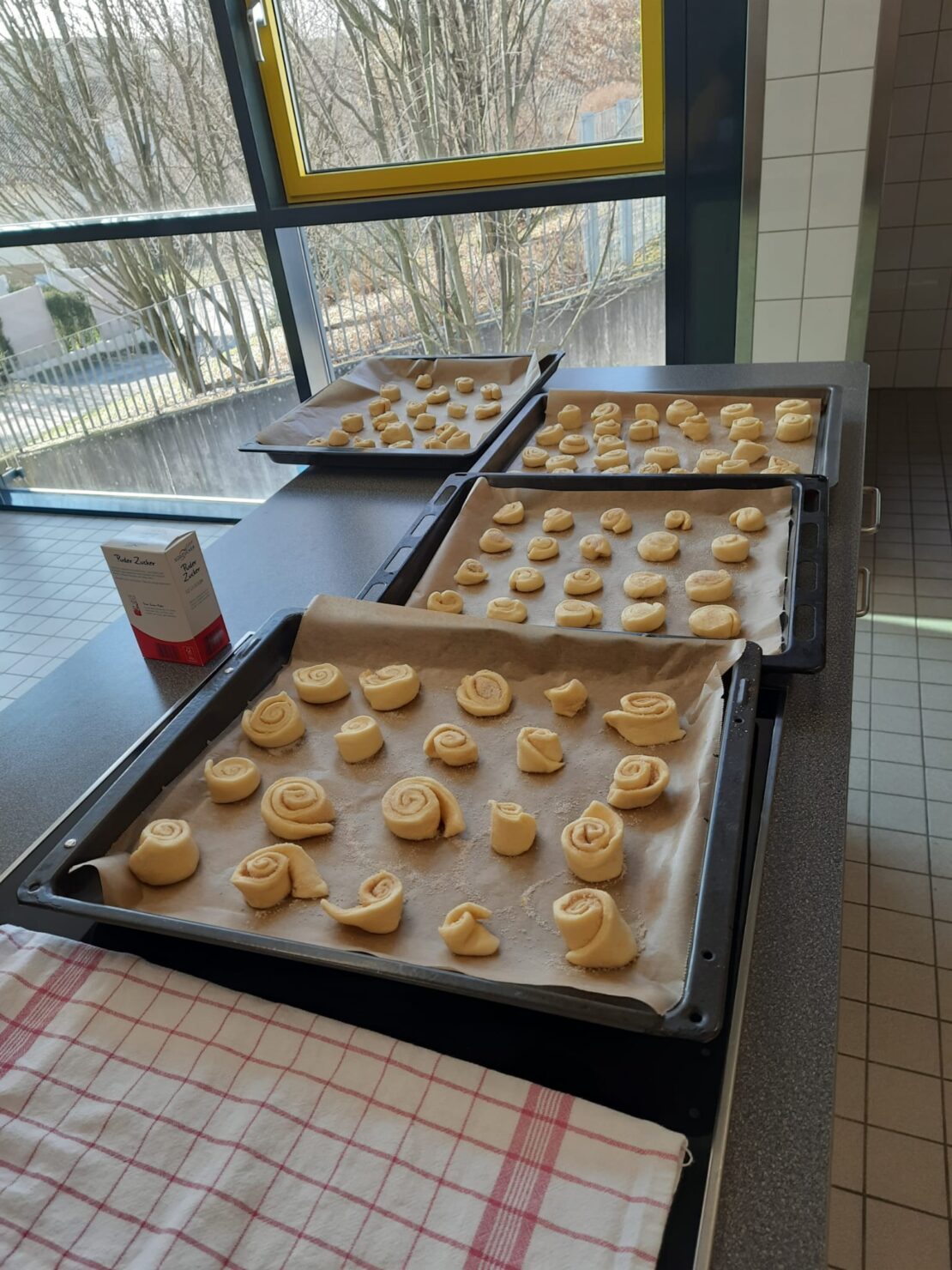 Kooperation mit der Paul-Aldinger-Schule – Landfrauen Kleinbottwar